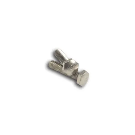 Bolt stainless 12 x100 exaggerated head. 5739 uni